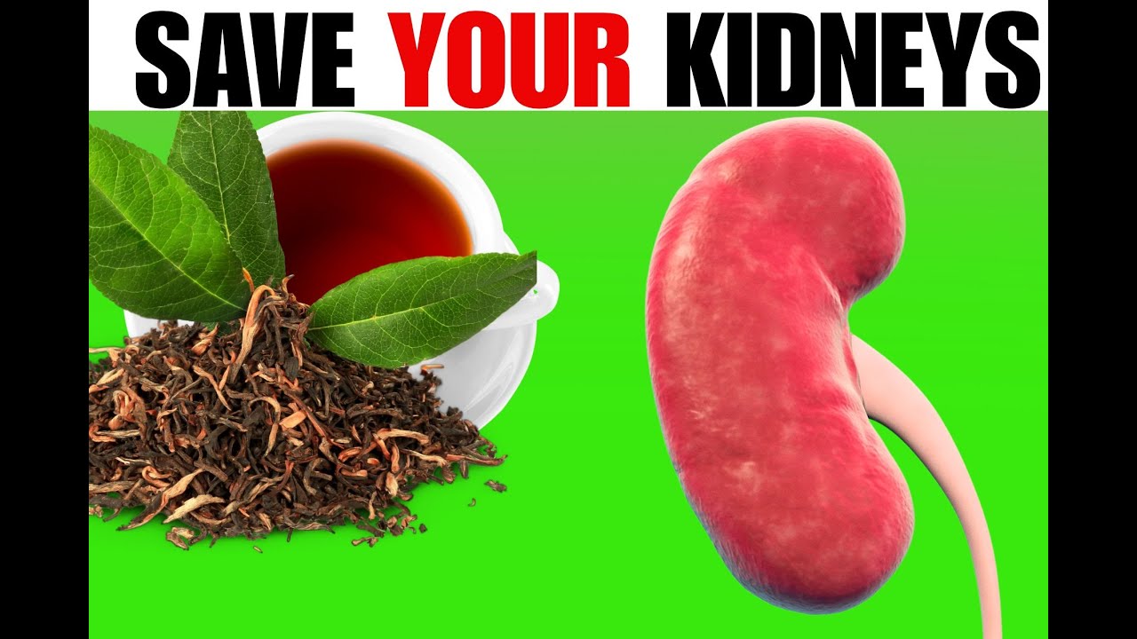 15 Powerful Herbs to Boost Kidney Function & Prevent Kidney Disease ...