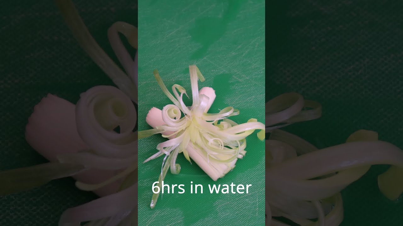 Spring Onion Garnish - YouTube