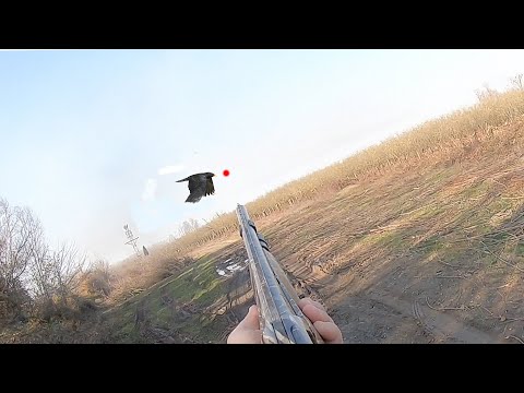 ORMANDA KARA TAVUK AVI ENG.SUB ( SHOTKAM  )