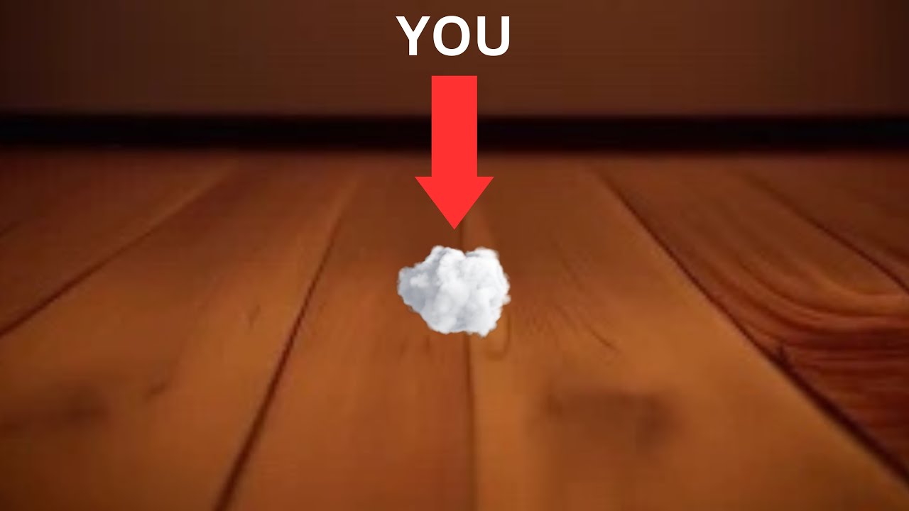 pov: you’re a piece of fluff - YouTube
