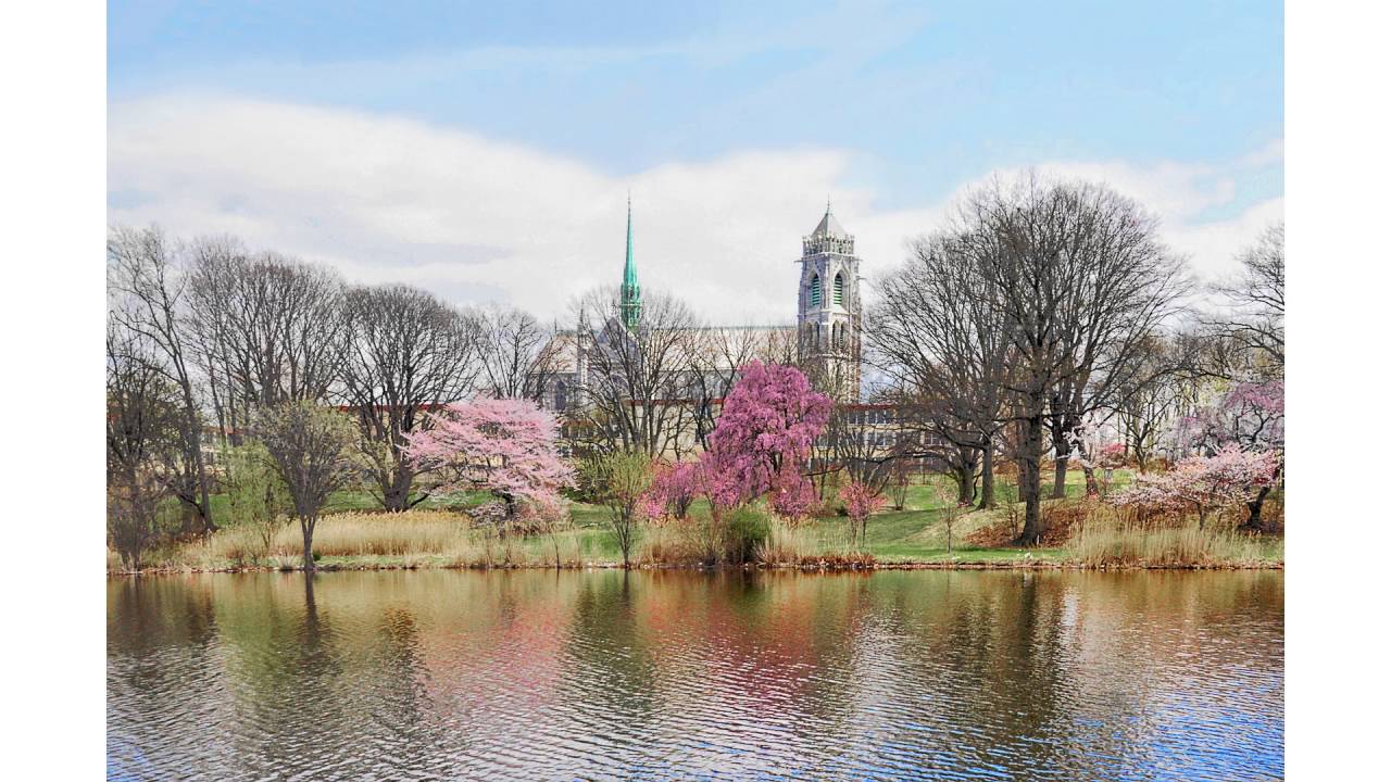 The Cherry Blossoms of Branch Brook Park - YouTube