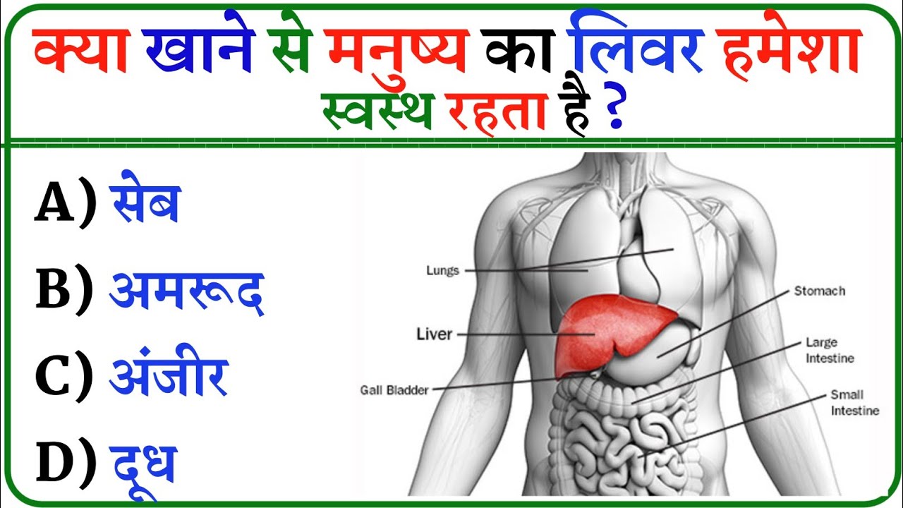 Janral Nolej Question | Gk Questions And Answers | General Knowledge ...