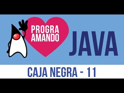 11 Curso Programación JAVA Caja Negra - Black Box - YouTube