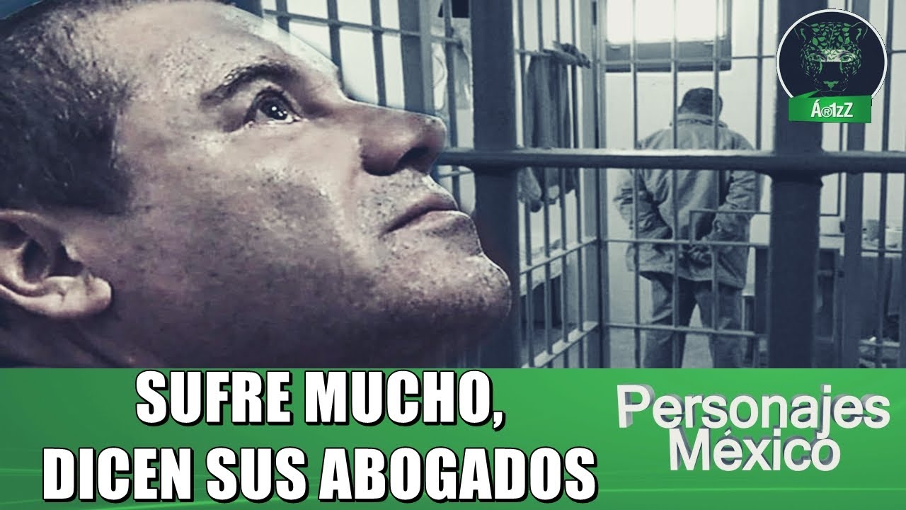 El Chapo Sufre Tremendamente Y Quiere Que Lo Extraditen A México