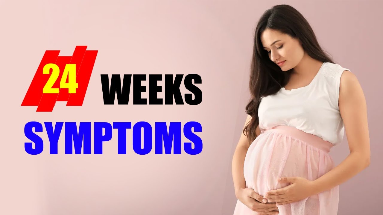 24 Weeks Pregnant Symptoms – Baby Moving and Baby Size in Womb - YouTube