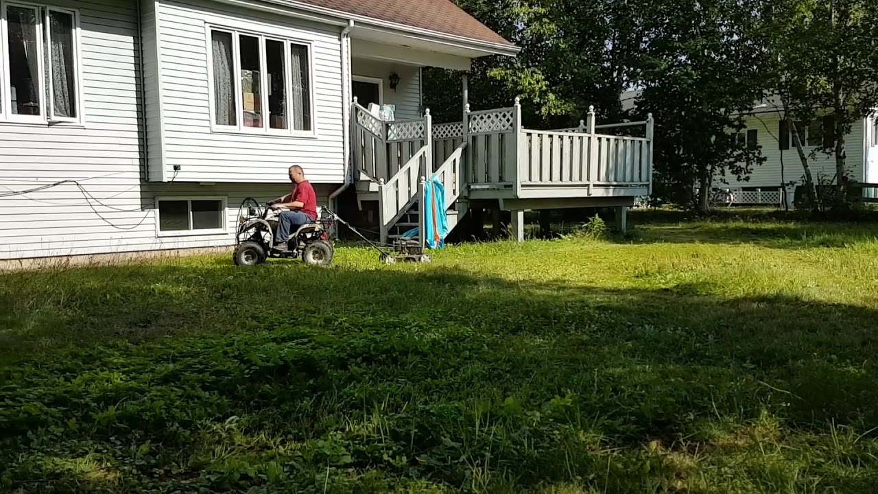 Newfoundland lawn mowing - YouTube