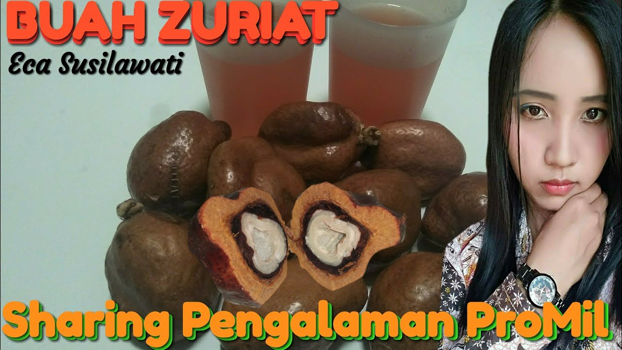 Buah Zuriat Promil || Cara Memotong Merebus dan Konsumsi - YouTube