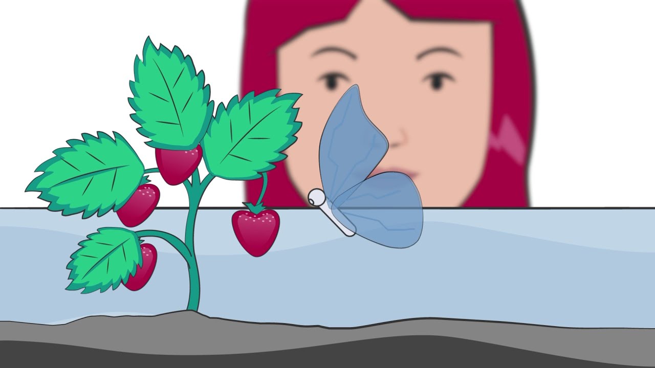 Thinknet 6G - A Typical Day in the 6G-enabled 2040s - Smart Farming - YouTube