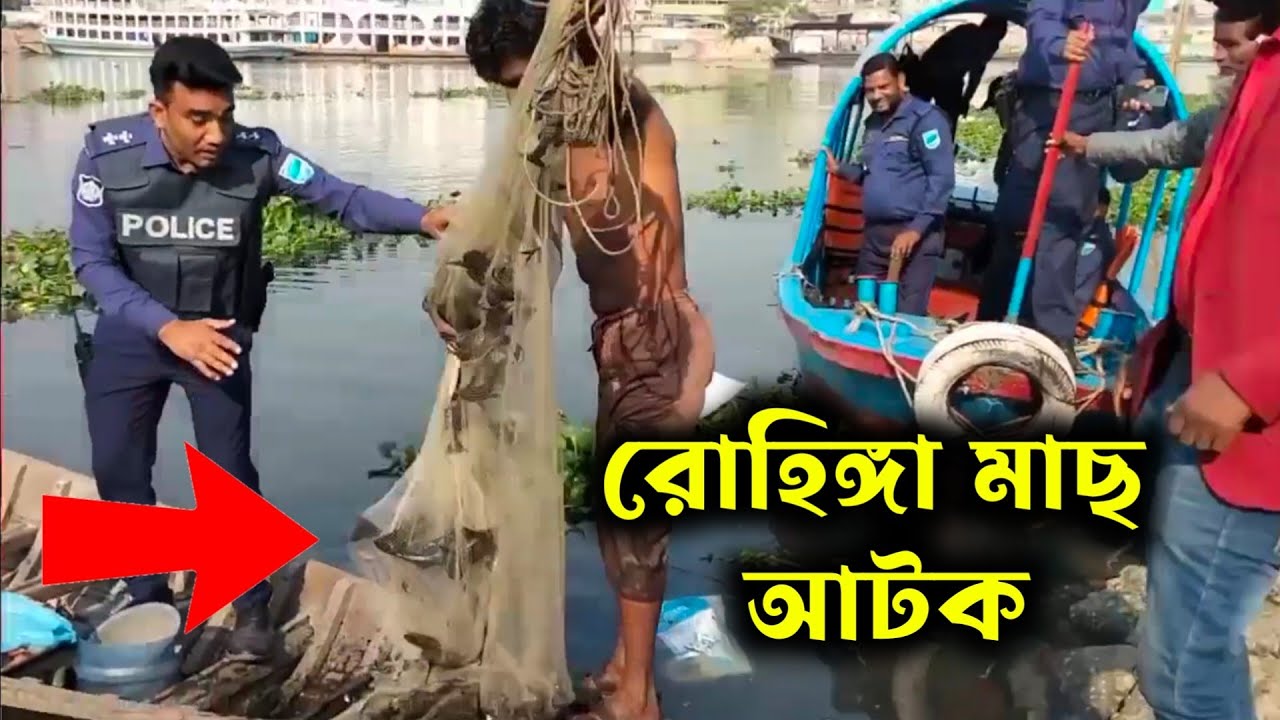 পুলিশের অভিযানে ভয়ংকর রোহিঙ্গা মাছ আটক || Sucker fish || Bangladesh ...