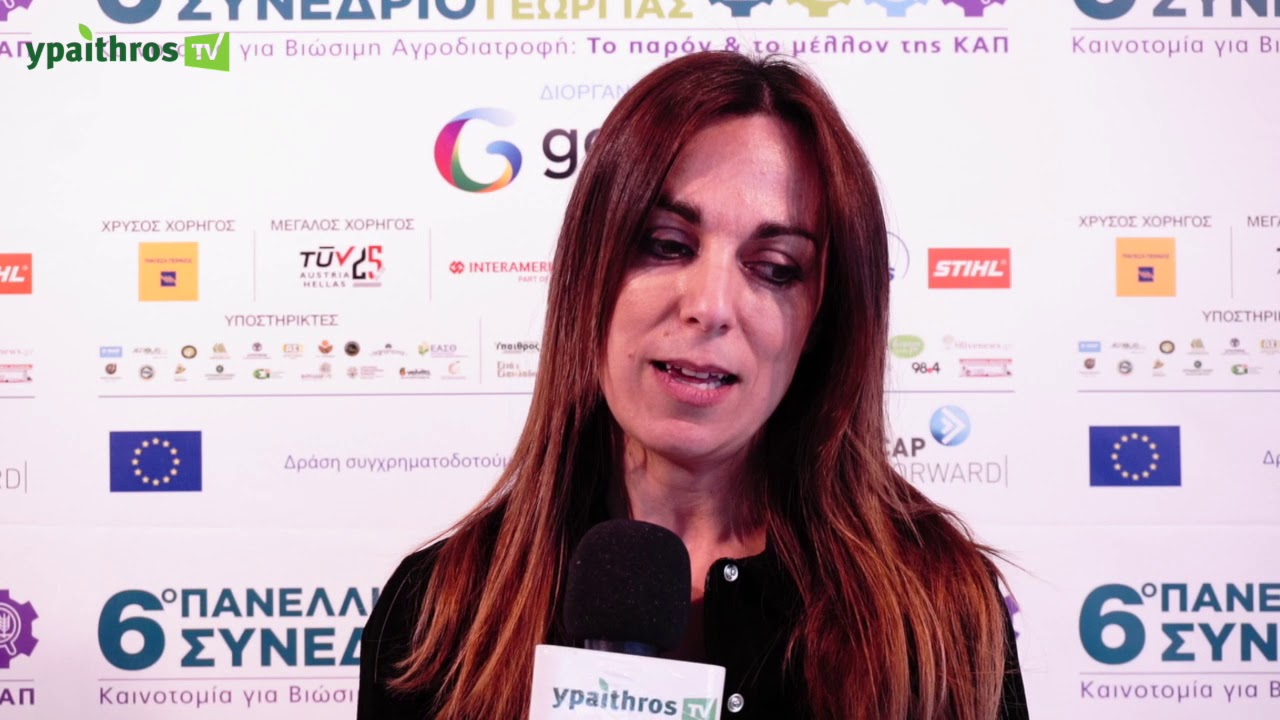 6ο ΣΥΝΕΔΡΙΟ GAIA ΕΠΙΧΕΙΡΕΙΝ: ΕΛΛΗ ΤΣΙΦΟΡΟΥ - ΓΕΝΙΚΗ ΔΙΕΥΘΥΝΤΡΙΑ GAIA ...
