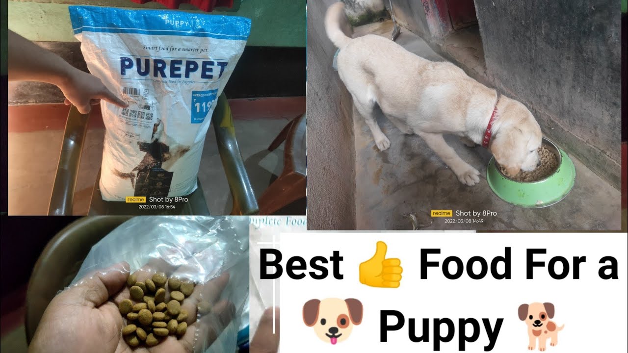 🐶Puppy Food purepet , smart food for a smart pet 🐶 chicken and ...