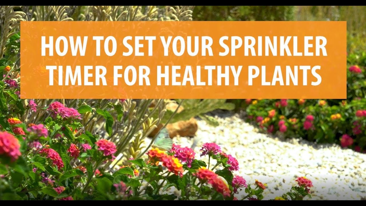 How to Set Your Sprinkler Timer for Healthy Plants - YouTube