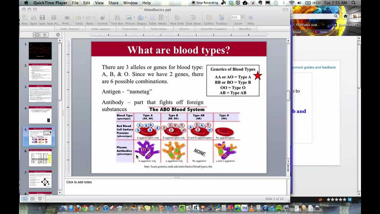 Blood Typing notes - YouTube