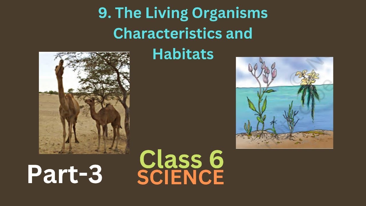The Living Organisms Characteristics and Habitats (part-3) Chapter 9 ...