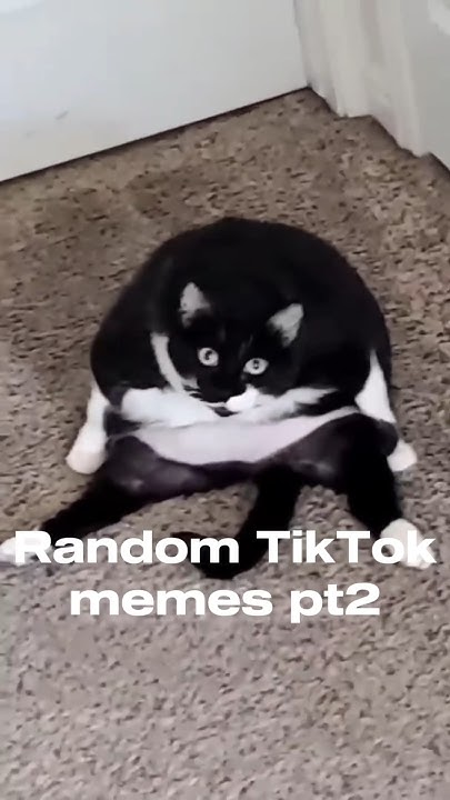 Funniest Tiktok Memes Pt2 Youtube
