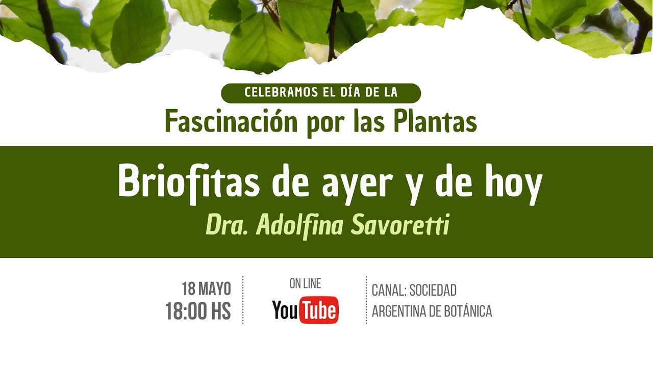 Briofitas de ayer y de hoy - Dra. Adolfina Savoretti - YouTube