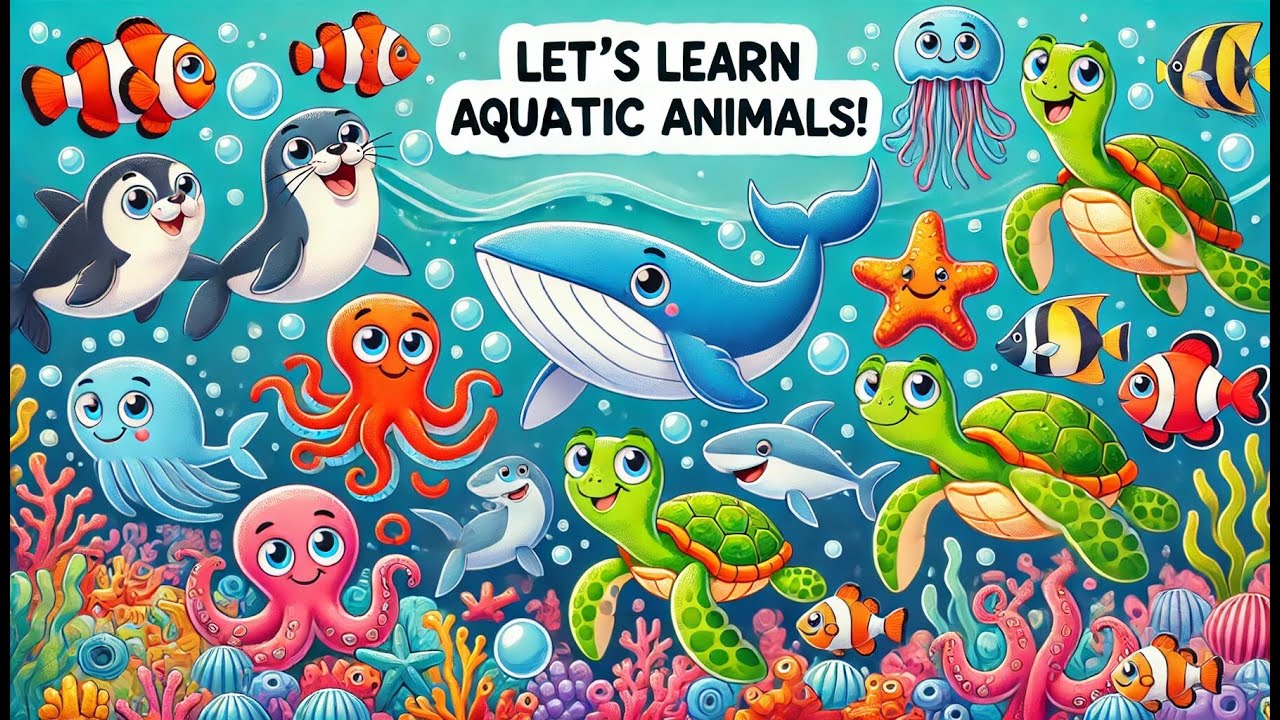 Explore the Underwater World | Learn Aquatic Animal Names - YouTube
