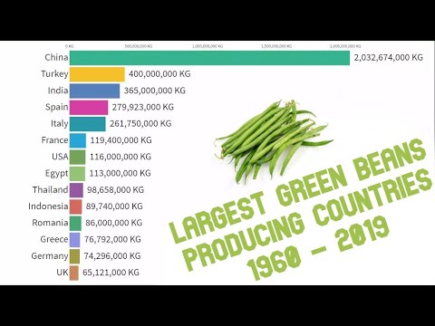 Largest Green Bean Producing Countries in the World 1960-2019 - YouTube