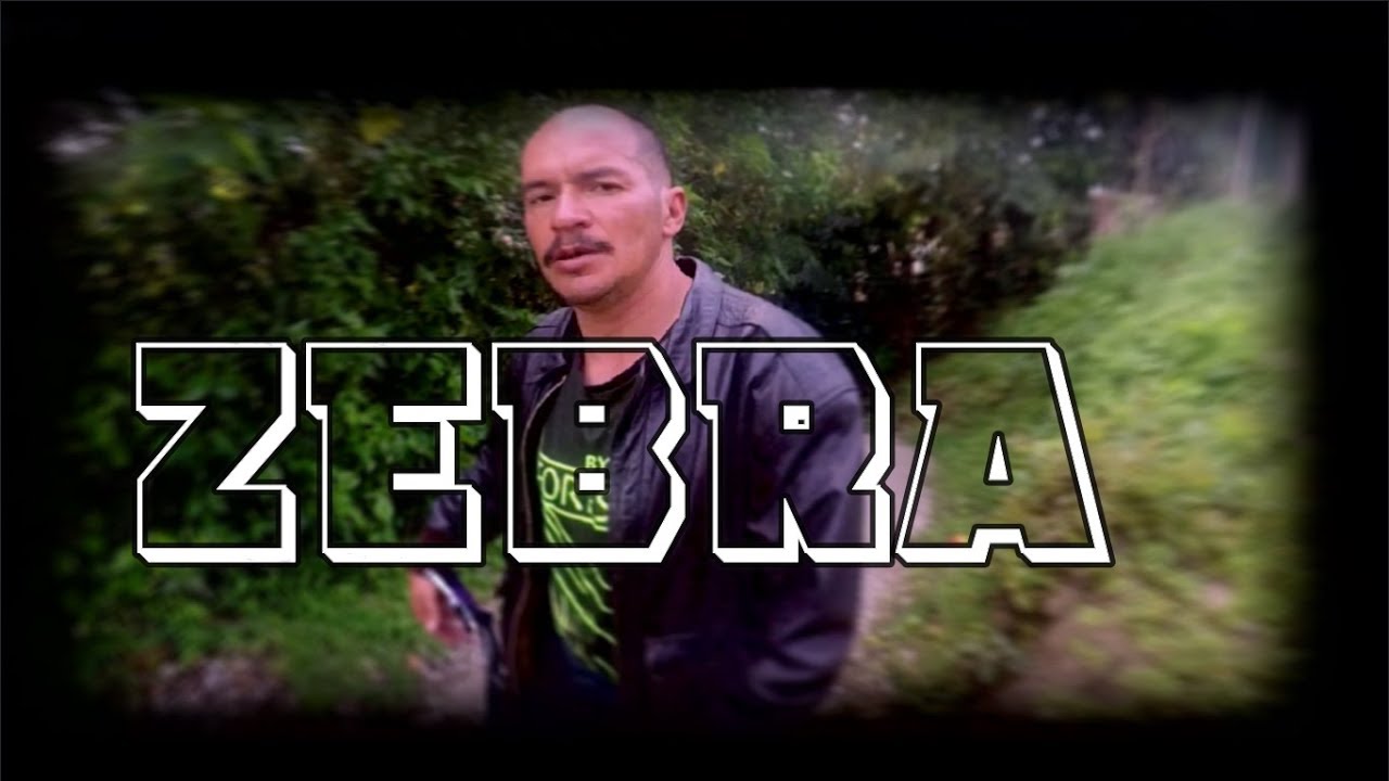 ZEBRA & KALEX & DJ FONXZ ALMAS URBANAS (VIDEO OFICIAL 2019) zebra rap ...