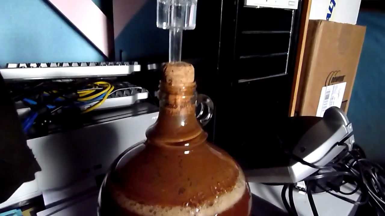Hard cider and buckwheat mead fermenting - October 3rd, 2011 - YouTube