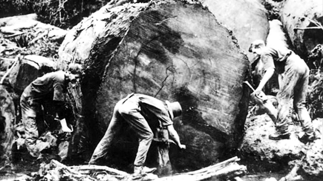 Auckland to Coromandel Town Ferry - YouTube