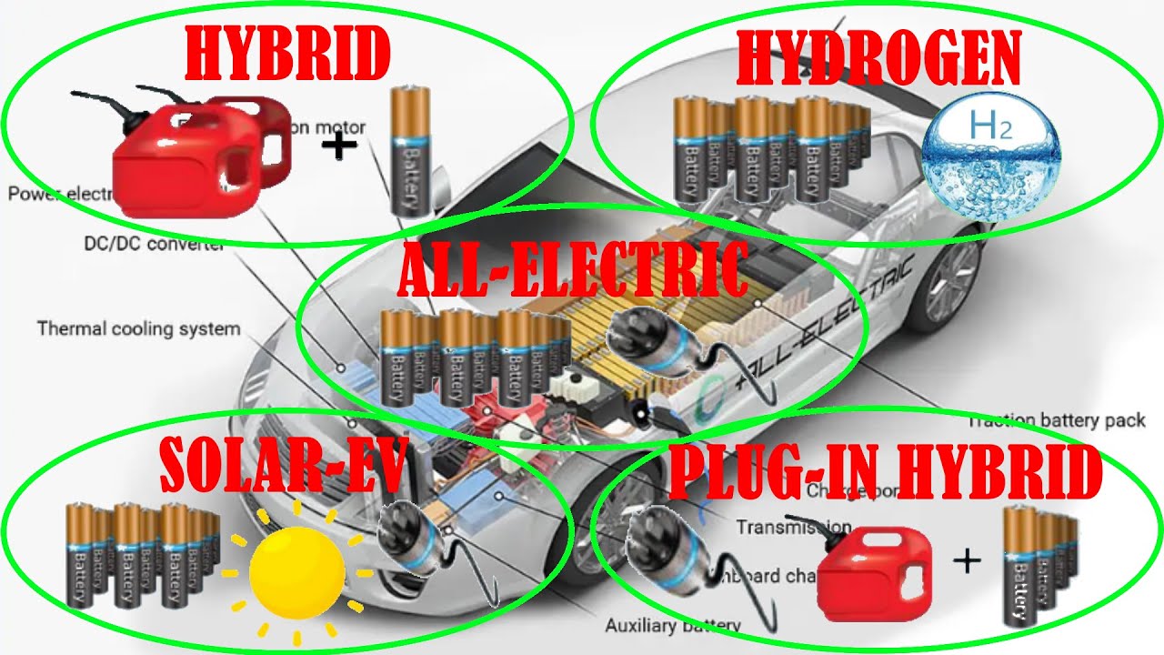 Exploring the Different Types of Electric Vehicles | Understanding BEV ...