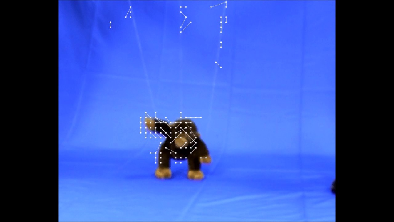 Motion Testing Monkey Video + Displacement Fields - YouTube