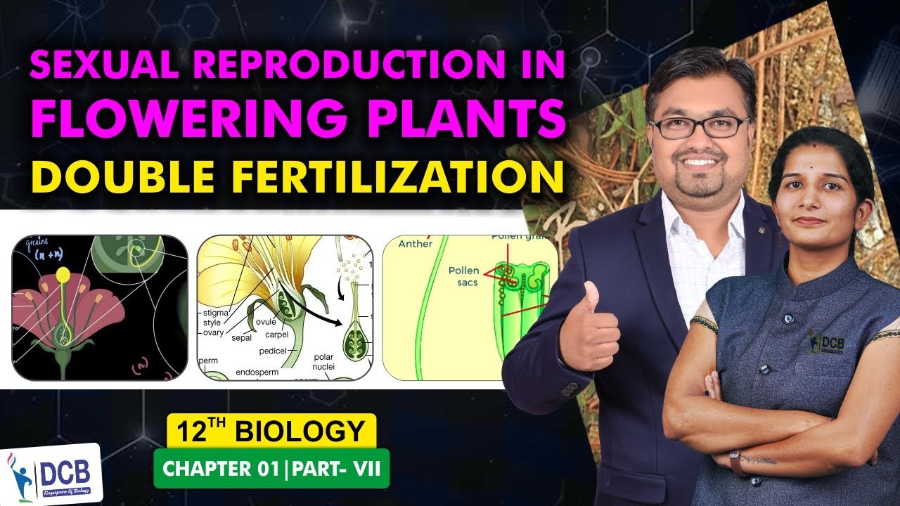 SEXUAL REPRODUCTION IN FLOWERING PLANTS | PART- VII | CHAPTER 01 ...