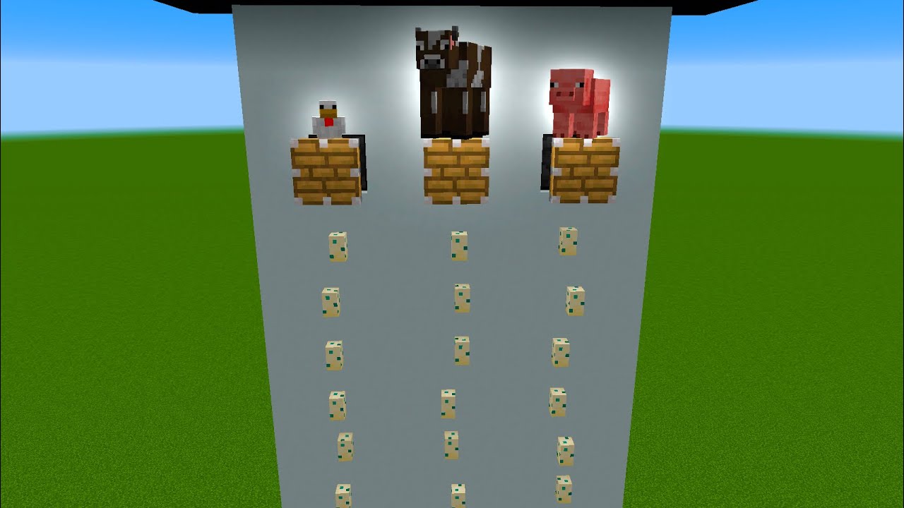 chicken vs cow vs pig - YouTube