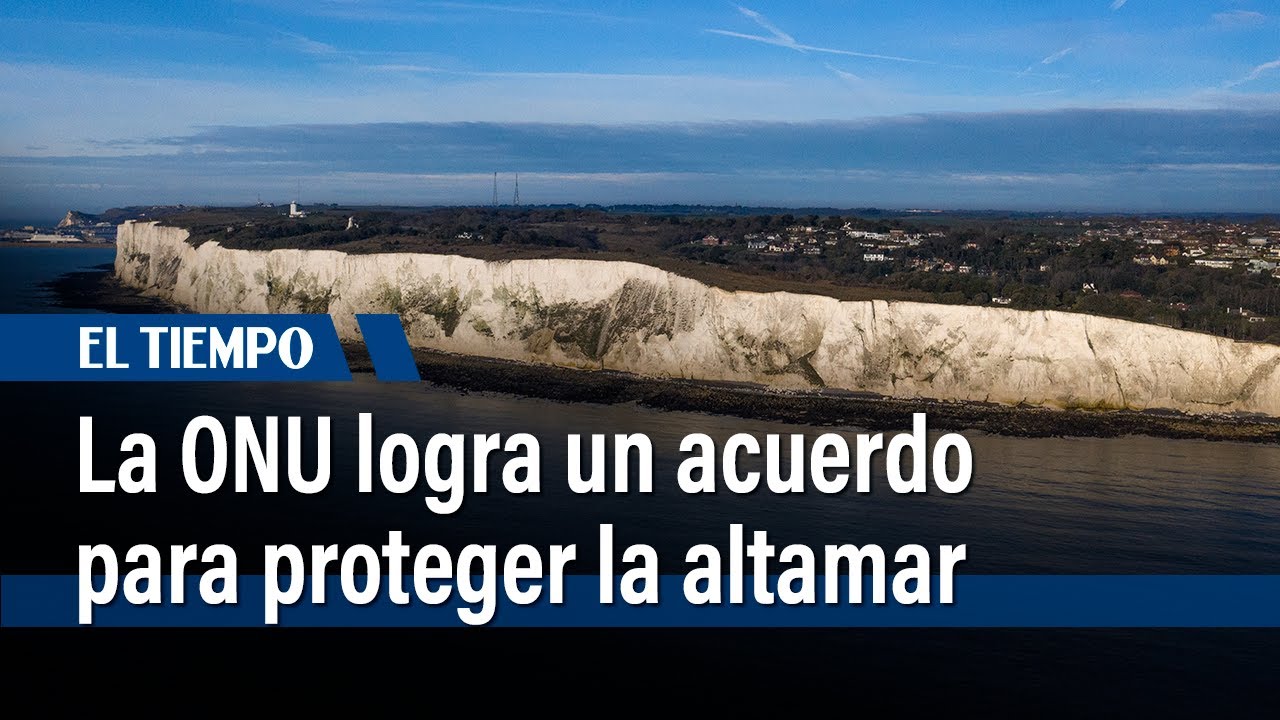 La ONU logra un acuerdo “histórico” para proteger la altamar | El ...