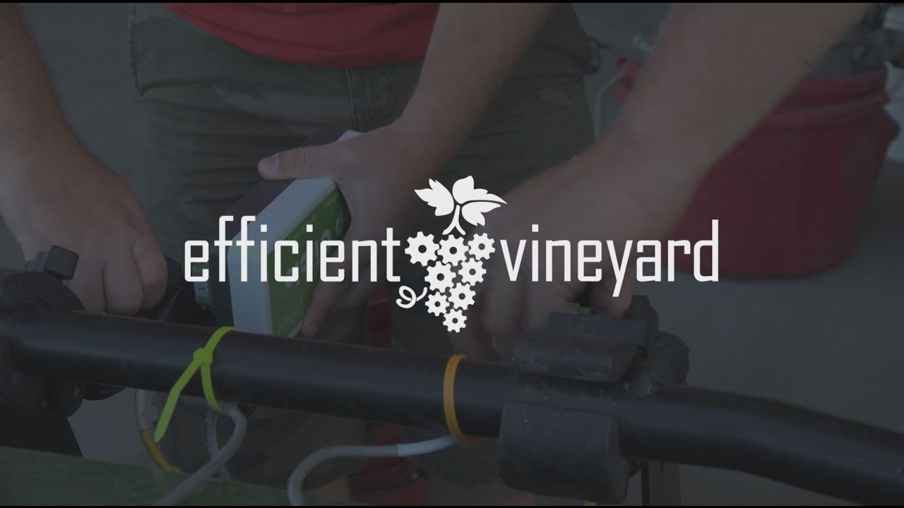 Efficient Vineyard Project Overview - YouTube