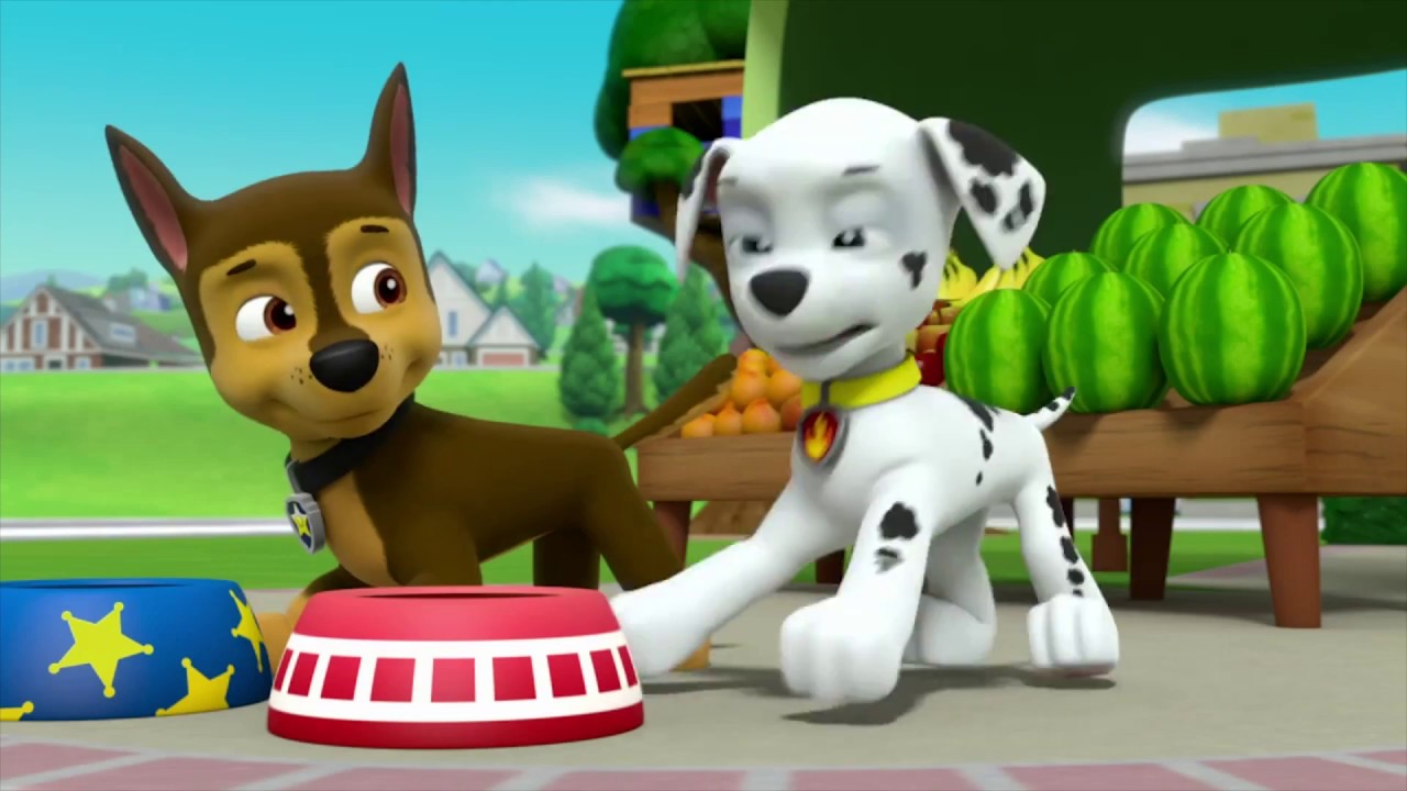 paw patrol best scenes cartoon for children #1 - YouTube