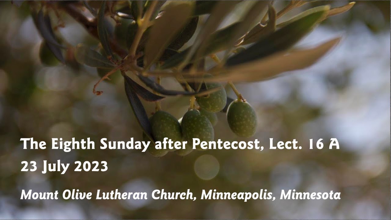 Worship, The Eighth Sunday after Pentecost, Lect. 16 A - 7-23-23 - YouTube