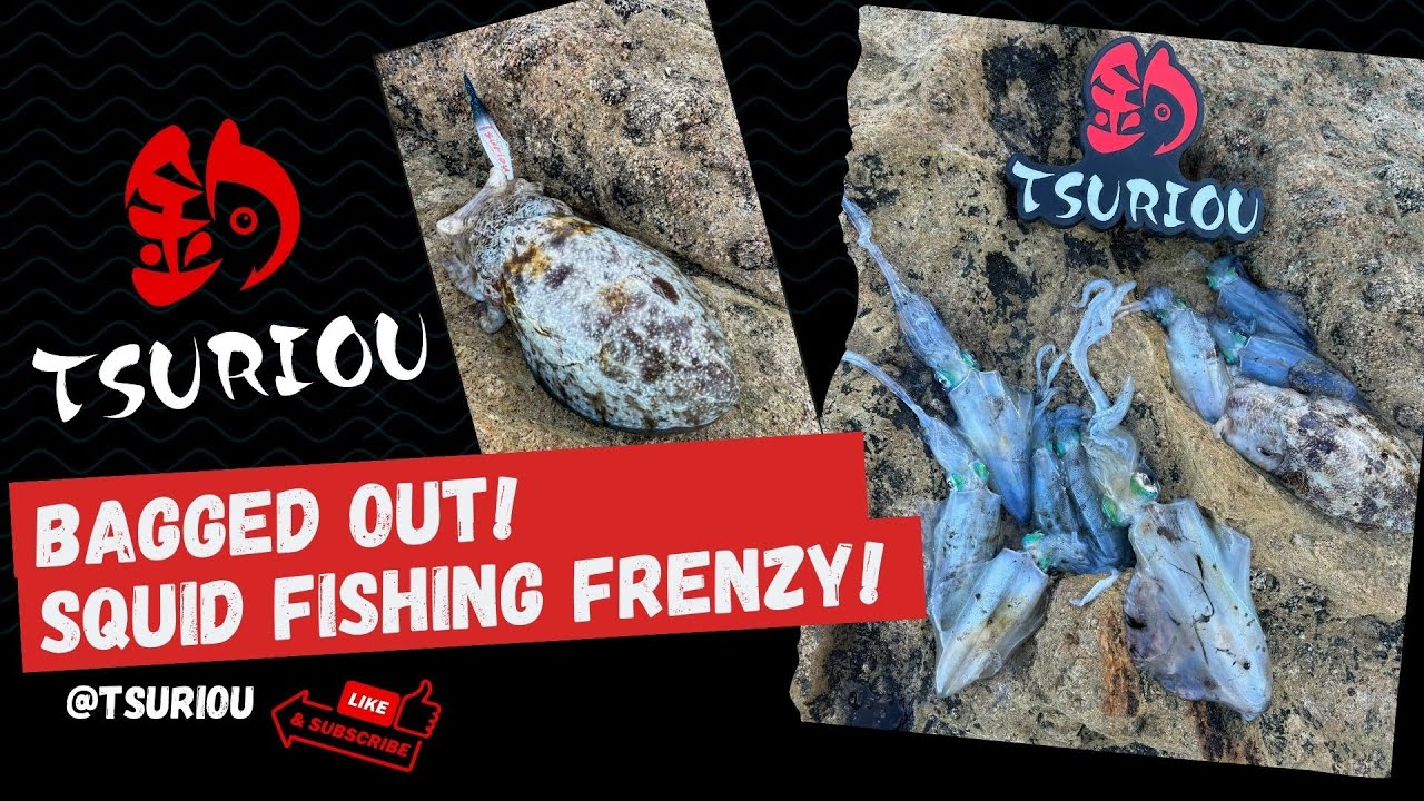 Bagged Out! Hooking the Limit at Port Phillip Bay's Squid Fishing ...