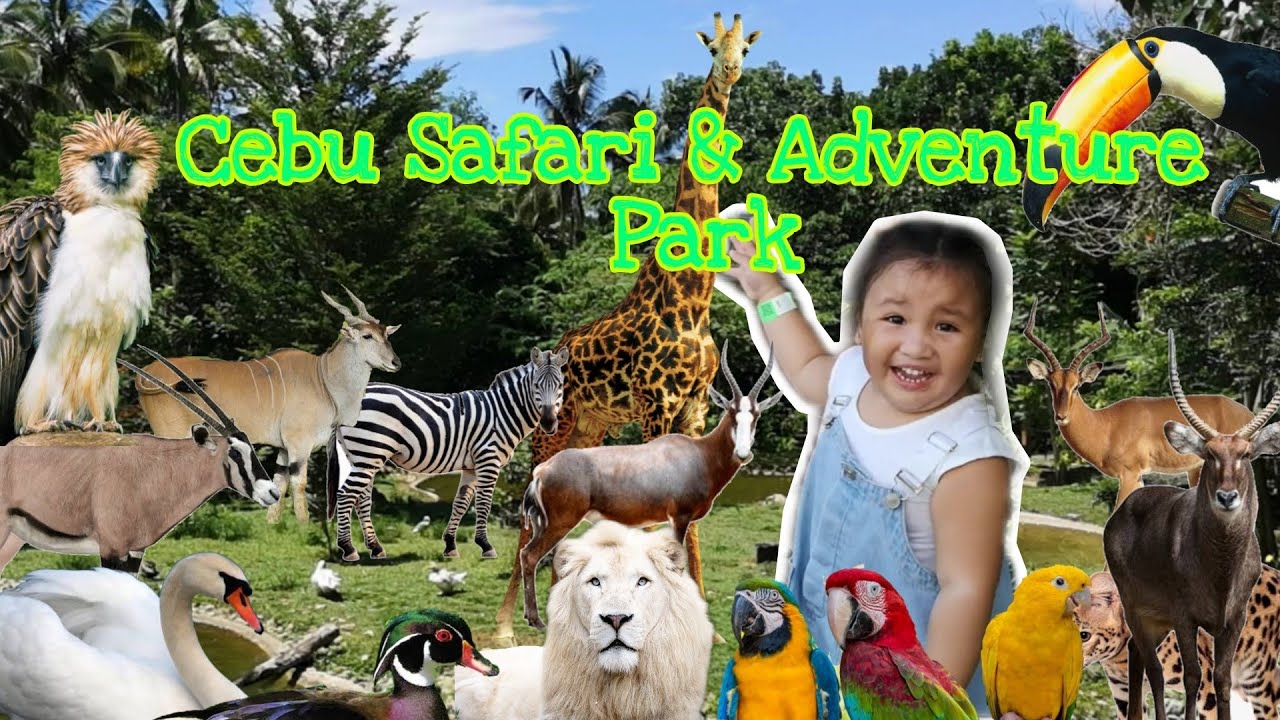 Cebu Safari & Adventure Park | Learn Jungle Animals Names | Inday ...