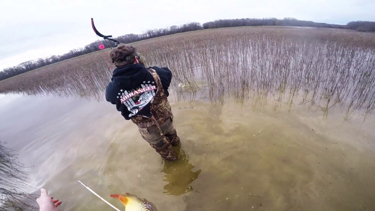 Bowfishing THE SPAWN (EPIC DAY OF SHOOTING) - YouTube