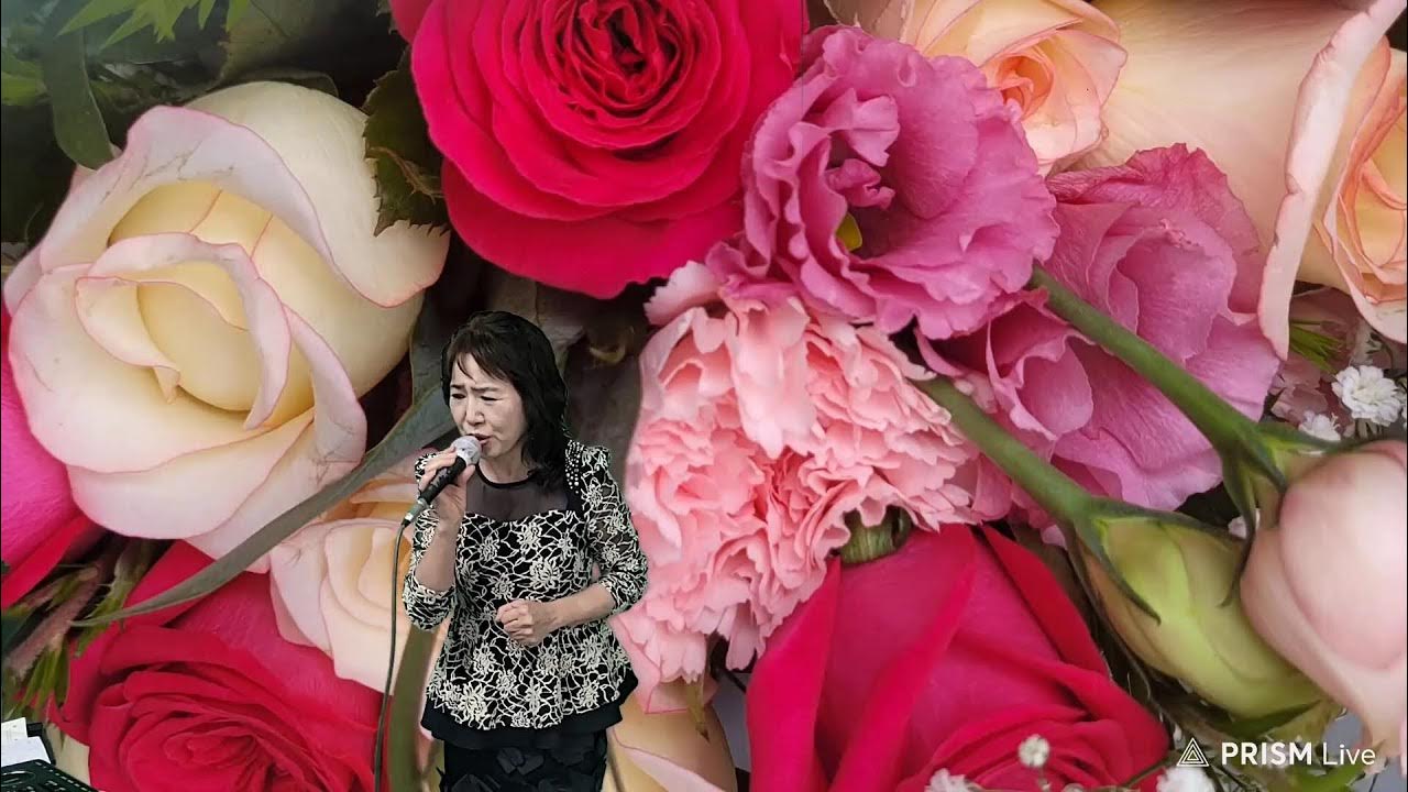 가수 조아진 라이브 방송 Youtube