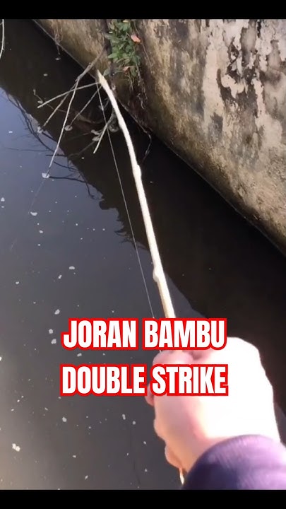 Mancing Di Parit Pakai Joran Bambu Double Strike 360 - YouTube