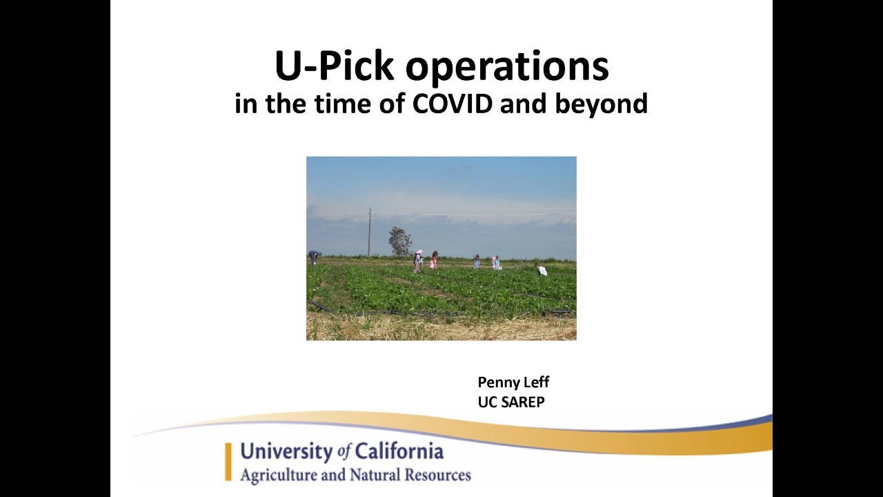 Best Practices for U-Pick Operations March 8, 2021 - YouTube
