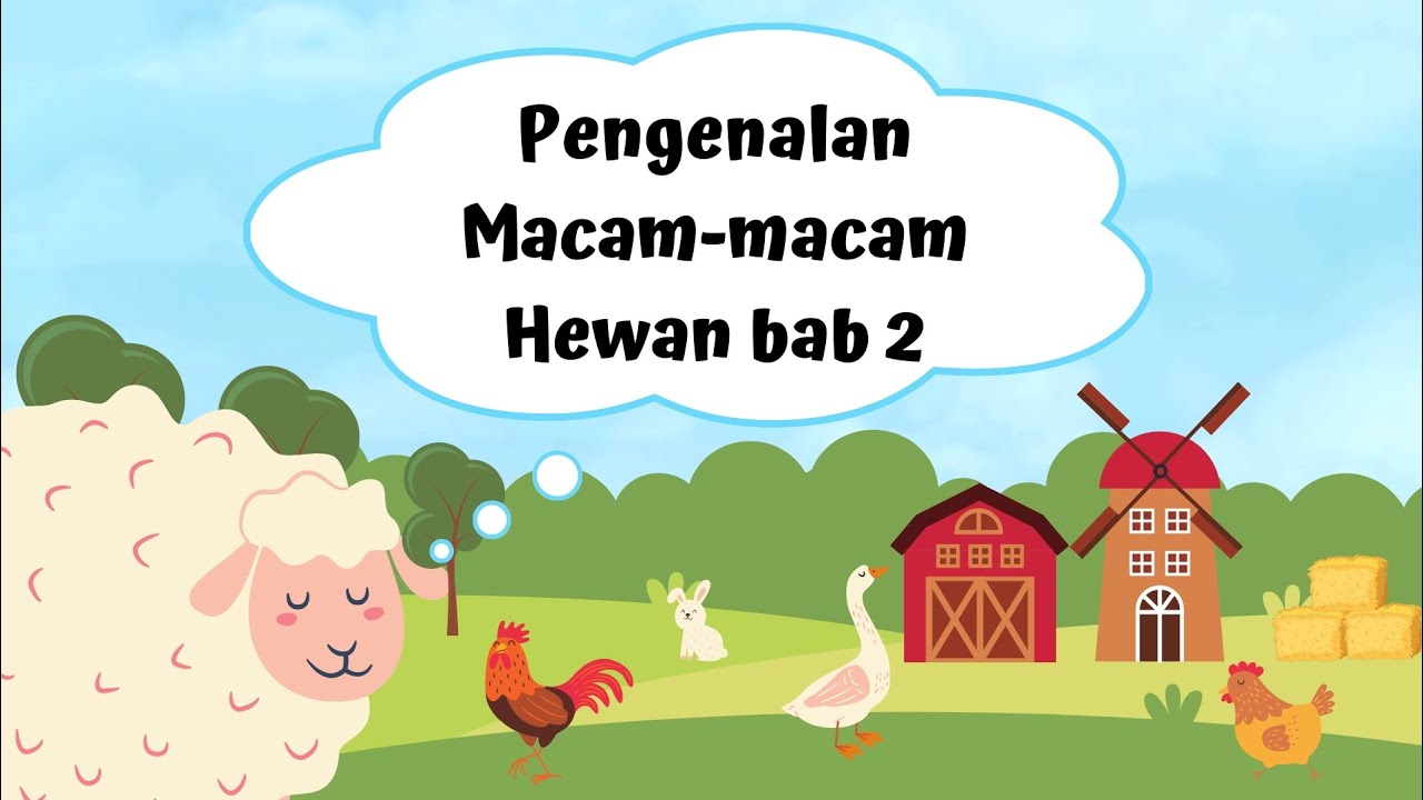 Belajar Mengenal Nama Hewan, Mengenal Binatang Untuk Anak - YouTube