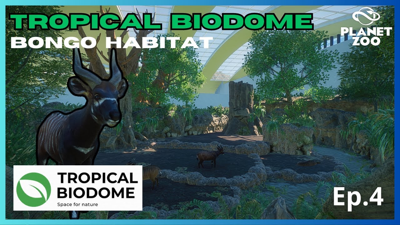 🌴TROPICAL BIODOME: Bongo Habitat - África Occidental🌴| Ep.4| NUEVA ...