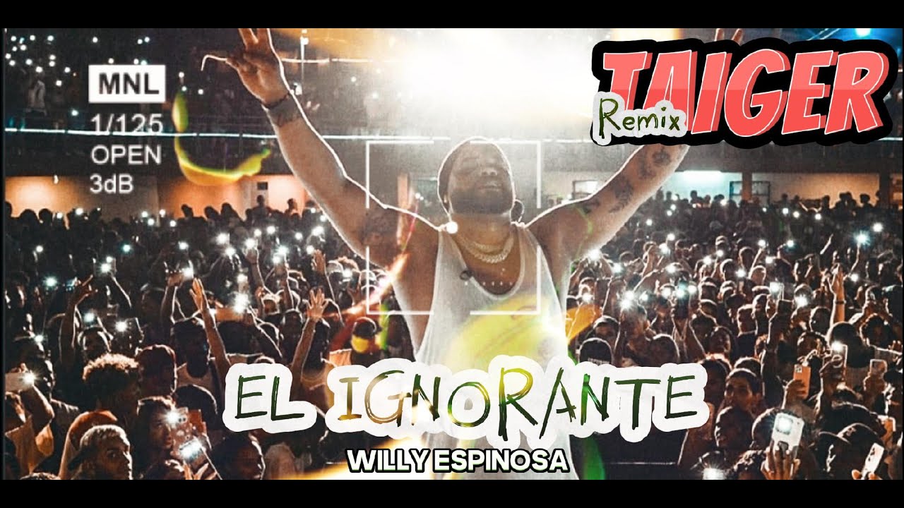 TAIGER (REMIX) EL IGNORANTE - WILLY ESPINOSA - YouTube