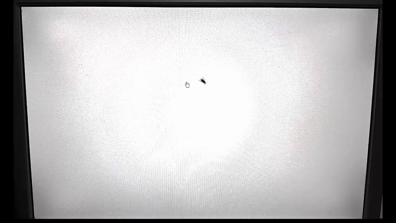 Harassing a Fly on my Computer Screen - YouTube