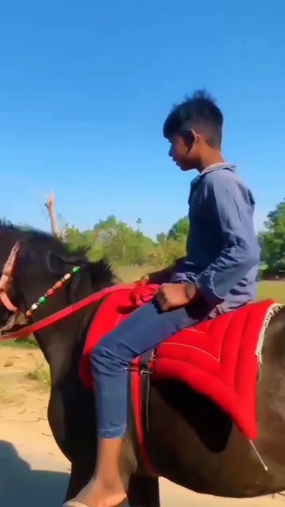 Horse lover ! ઘોડી રવાલા કેસે ચલાવે?? horse lover horse riding Horse ...