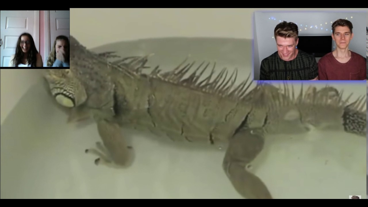 Reacting to Collins Key |Try Not To Laugh Challenge - YouTube