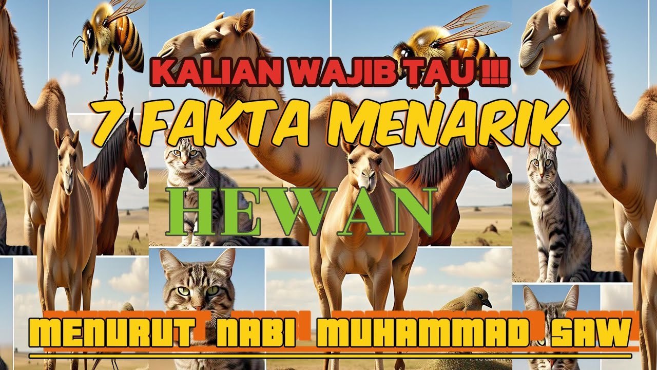 7 HEWAN YG DI SUKAI NABI MUHAMMAD SAW#faktaunik #facts #animals # ...