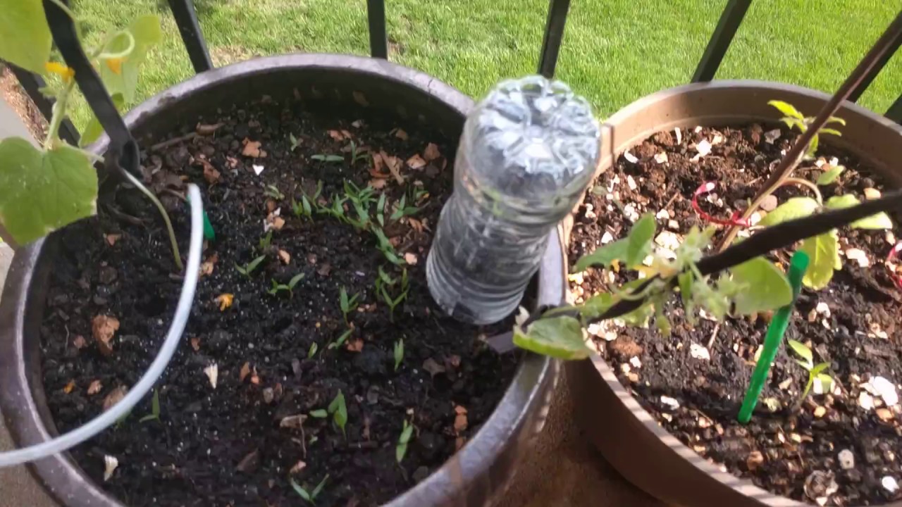 How to build your own dripping system at home in 5 minutes - YouTube