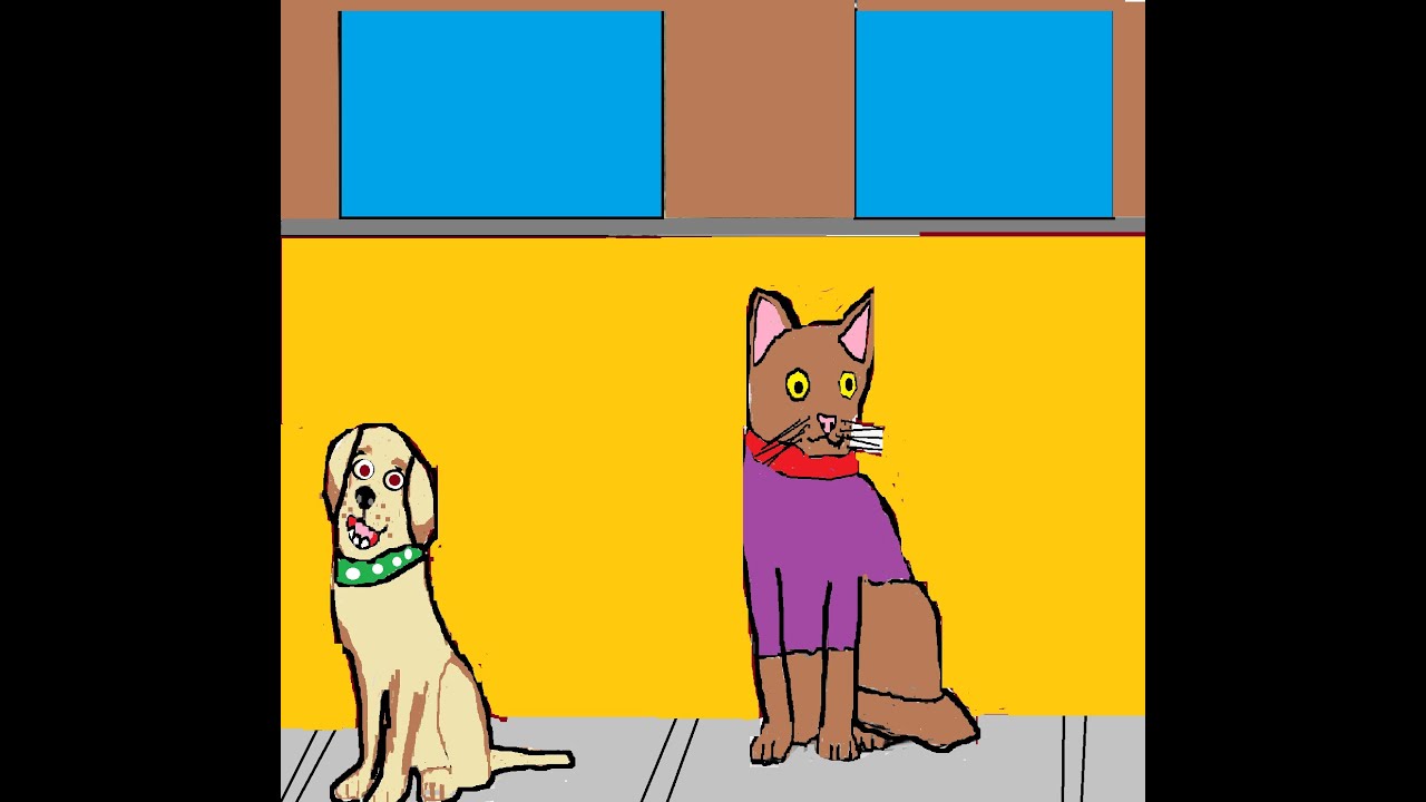 Periwinkle the cat play hide seek in Colorado from periwinkle and ...