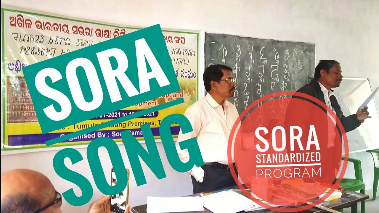 SORA SONG // SORA SCRIPT STANDARDIZED PROGRAM// SORA COMMUNITY - YouTube