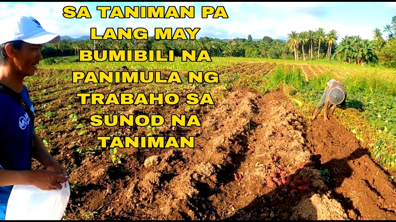 PANIMULA SA BAGONG TANIMAN NG KAMOTE - YouTube